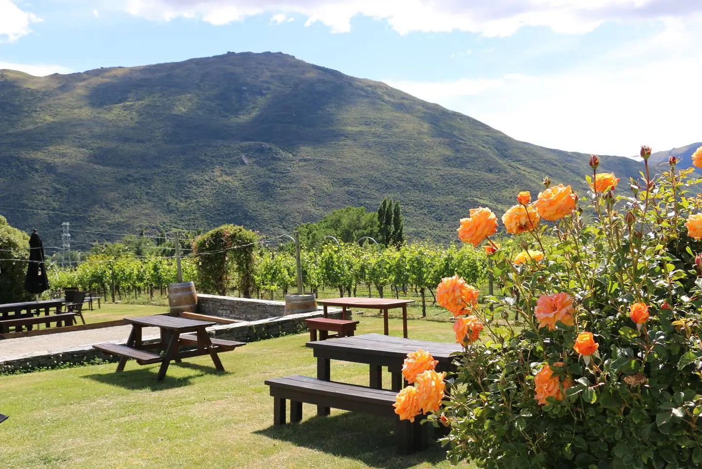 8 Best Wineries & Cellar Doors in Queenstown | Skyline Blog