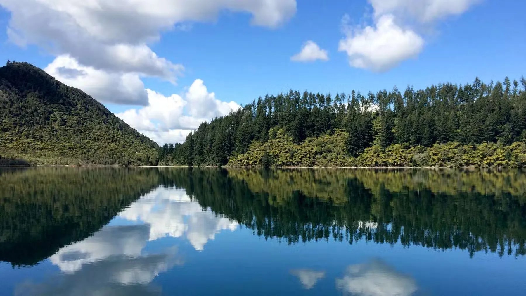 Top 11 Rotorua Walks and Hikes | Skyline Blog